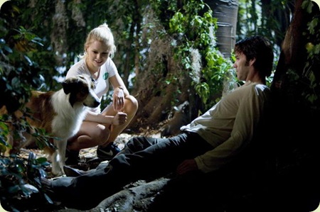 ALESSANDRA MARQUES: DIARIOS DE UM VAMPIRO , The Vampire Diaries